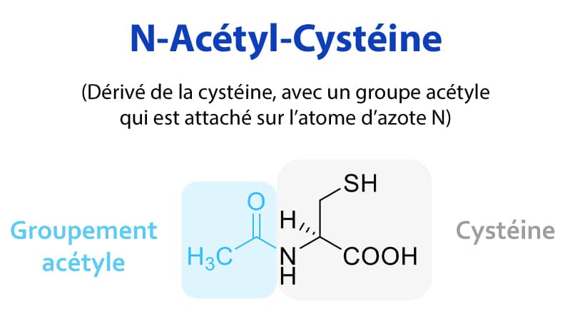 N-acétyl-cystéine - Nutrixeal Info