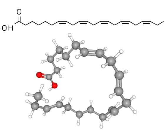 Acide docosapentaénoïque (n-3 DPA) - Index nutraceutique - Nutrixeal Info