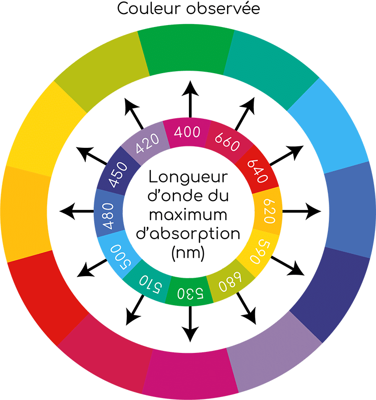 Caroténoïdes - Nutrixeal Info