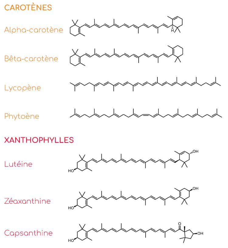 Caroténoïdes - Nutrixeal Info