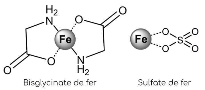 Fer : formes, sources et assimilation - Nutrixeal Info
