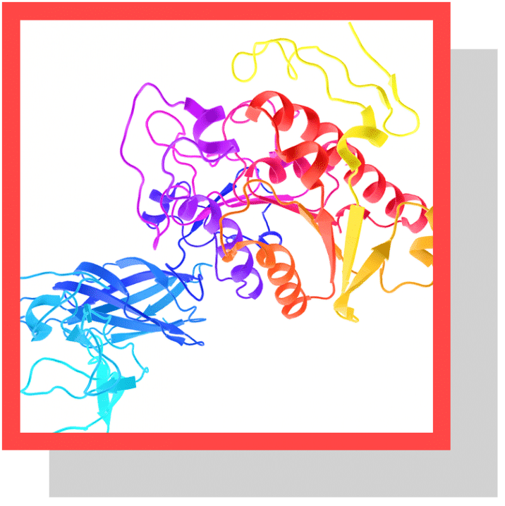 Lipase pancréatique : définition et rôles biologiques - Nutrixeal Info