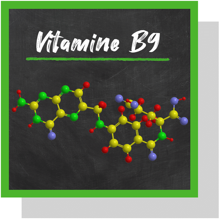 Vitamine B9 : différentes formes et rôles biologiques - Nutrixeal Info